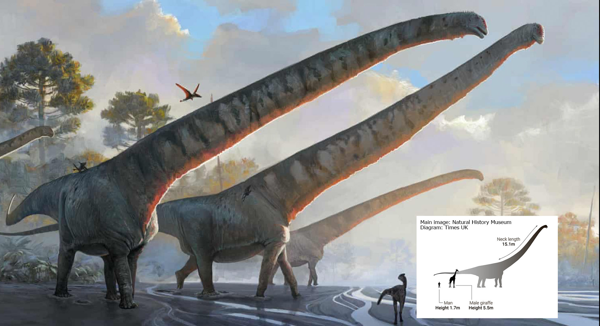 New giant dinosaur makes giraffe look tiny – Fridayeveryday
